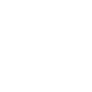 Aindeep Technology Solutions